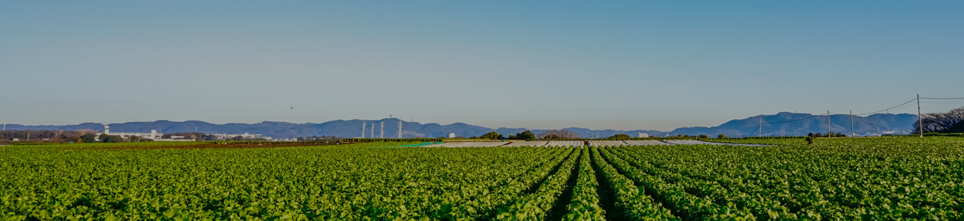 耕起とは、農業の基本技術！土の力を引き出して作物に豊かさをもたらす方法とは？ - 公益財団法人 東松山市農業公社
